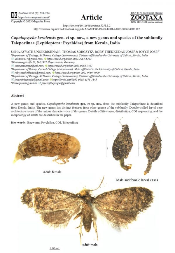 New GENUS and SPECIES of bagworm moth " Capulopsyche keralensis ...